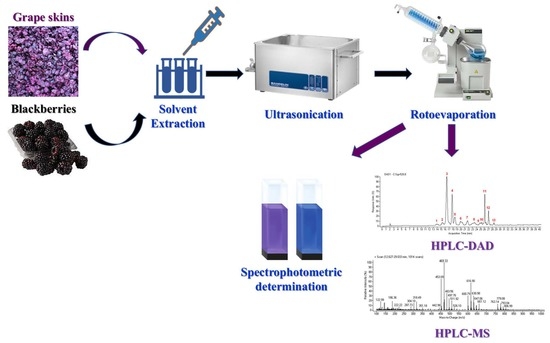 Applied Sciences | Free Full-Text | Total Phenolic, Anthocyanins HPLC ...