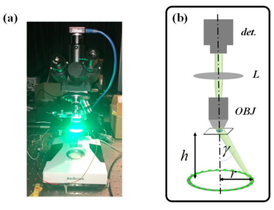 Optical Diffraction Tomography Using Nearly In-Line Holography with a ...