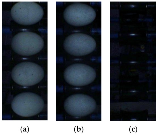 High-Throughput Online Visual Detection Method of Cracked Preserved ...