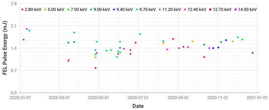 Recent Progress of the PAL-XFEL