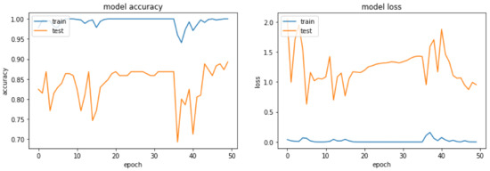 Visual Sentiment Analysis Using Deep Learning Models with Social Media Data