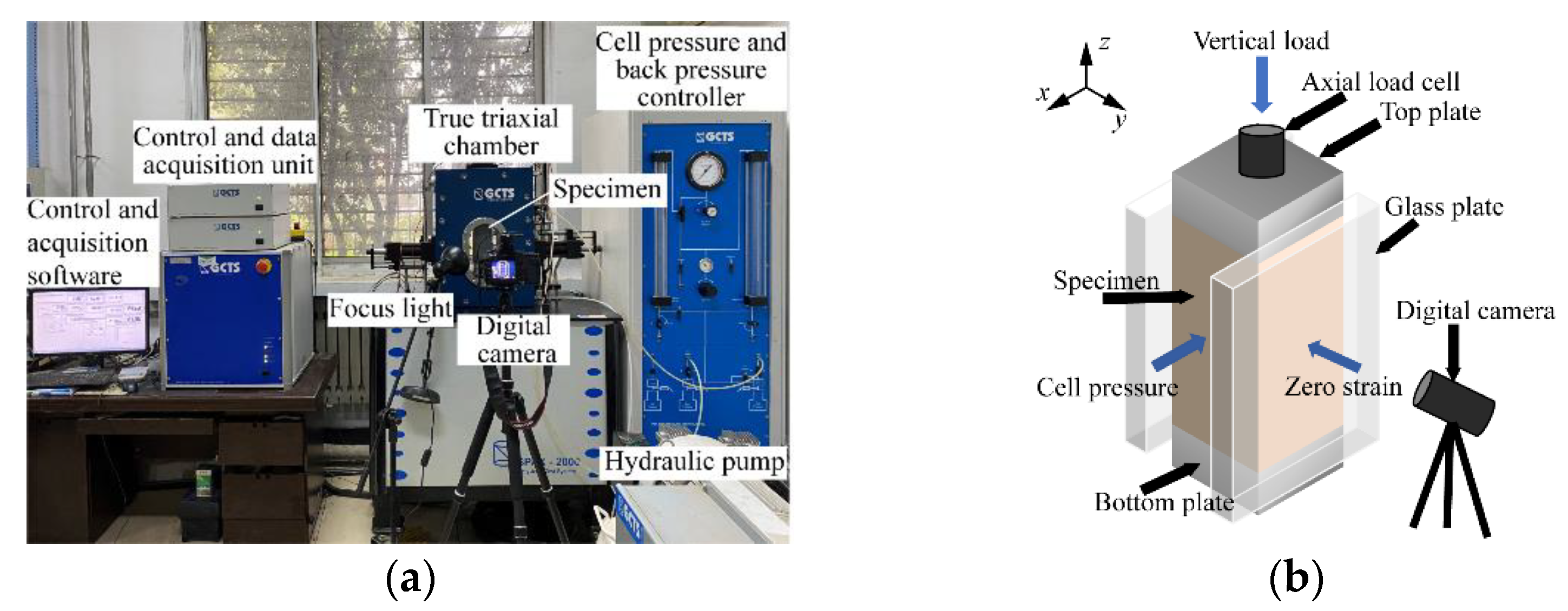 Evolution of Shear Band in Plane Strain Compression of Naturally ...
