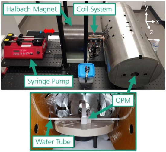 Noninvasive Magnetic-Marking-Based Flow Metering with Optically Pumped ...