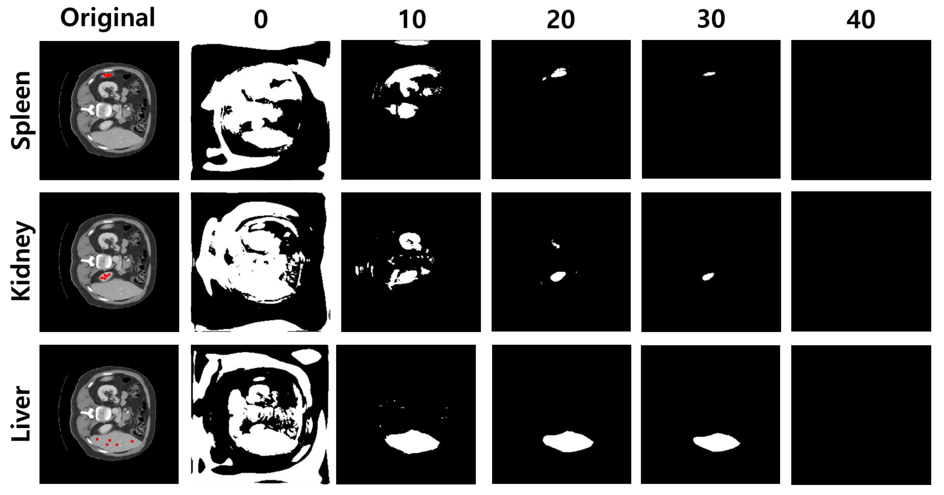 All You Need Is a Few Dots to Label CT Images for Organ Segmentation