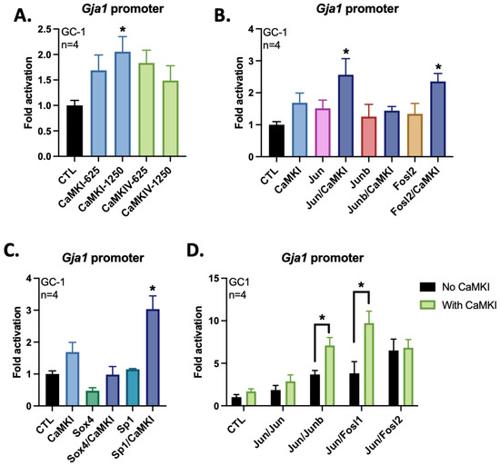 Members of the AP-1 Family of Transcription Factors Regulate the ...
