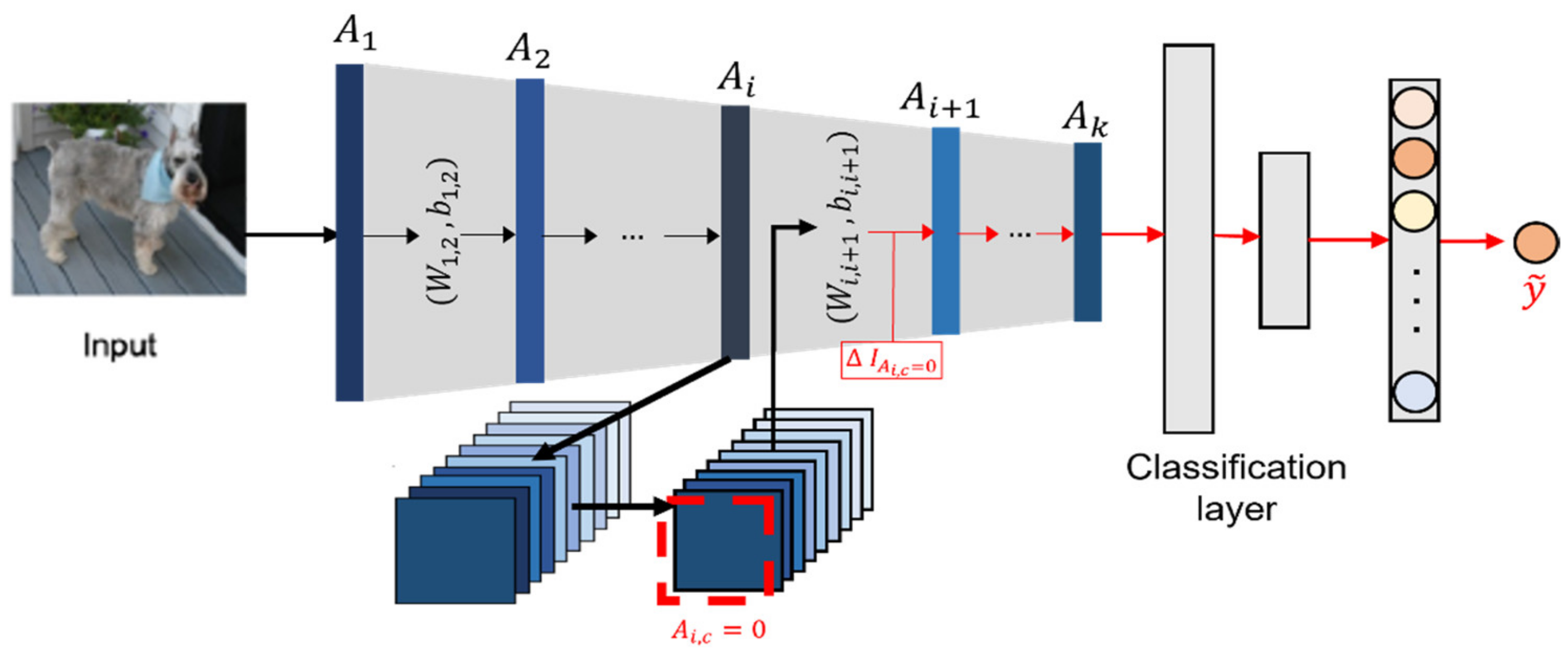 Applied Sciences | Free Full-Text | Chain Graph Explanation of Neural ...