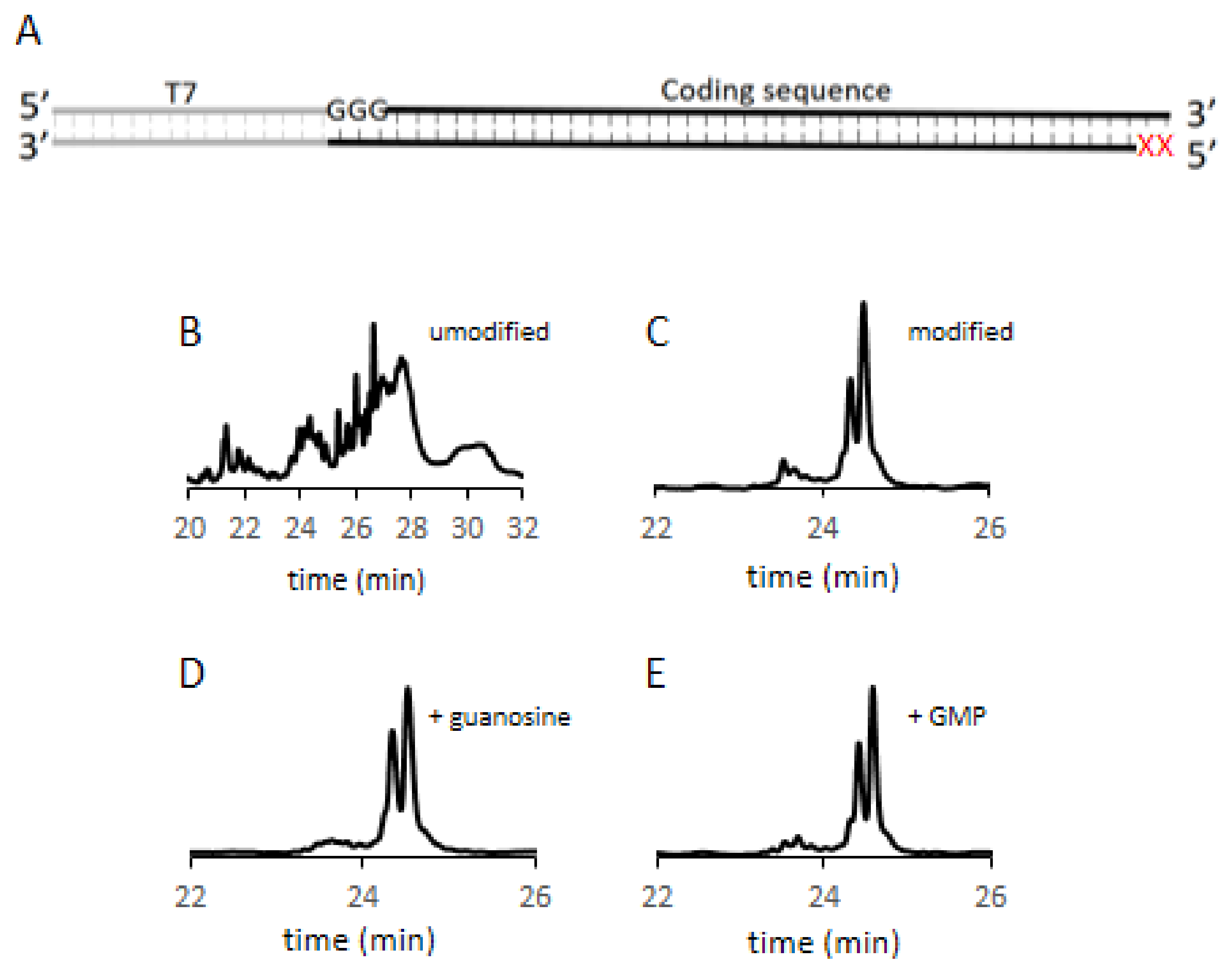 Overview of Methods for Large-Scale RNA Synthesis