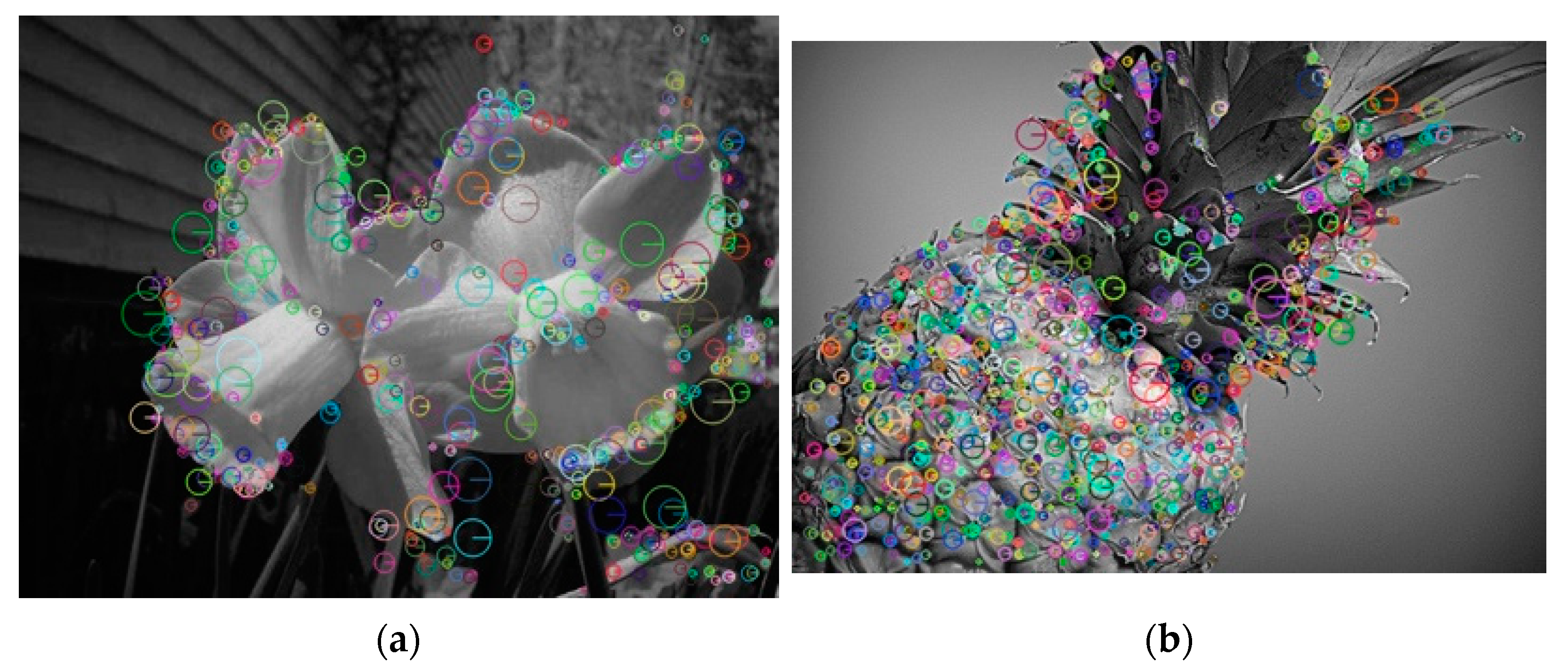 Dual-ISM: Duality-Based Image Sequence Matching for Similar Image Search