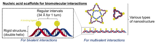 Biosensors Based on Bivalent and Multivalent Recognition by Nucleic ...