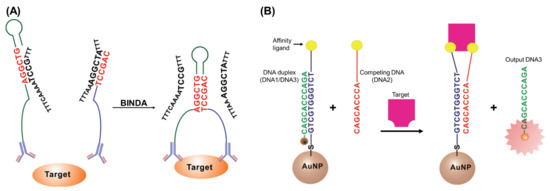 Biosensors Based on Bivalent and Multivalent Recognition by Nucleic ...