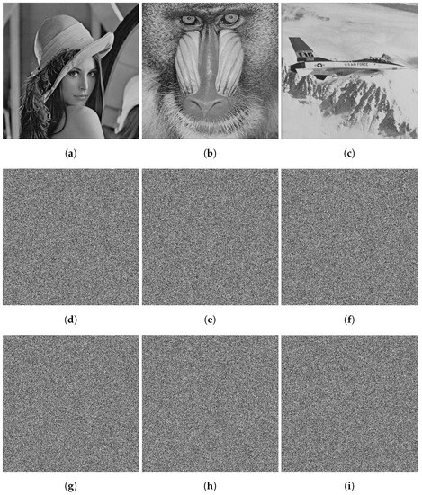 Joint Hamming Coding for High Capacity Lossless Image Encryption and Embedding Scheme