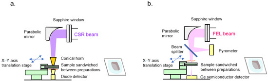 Medical Image Analysis