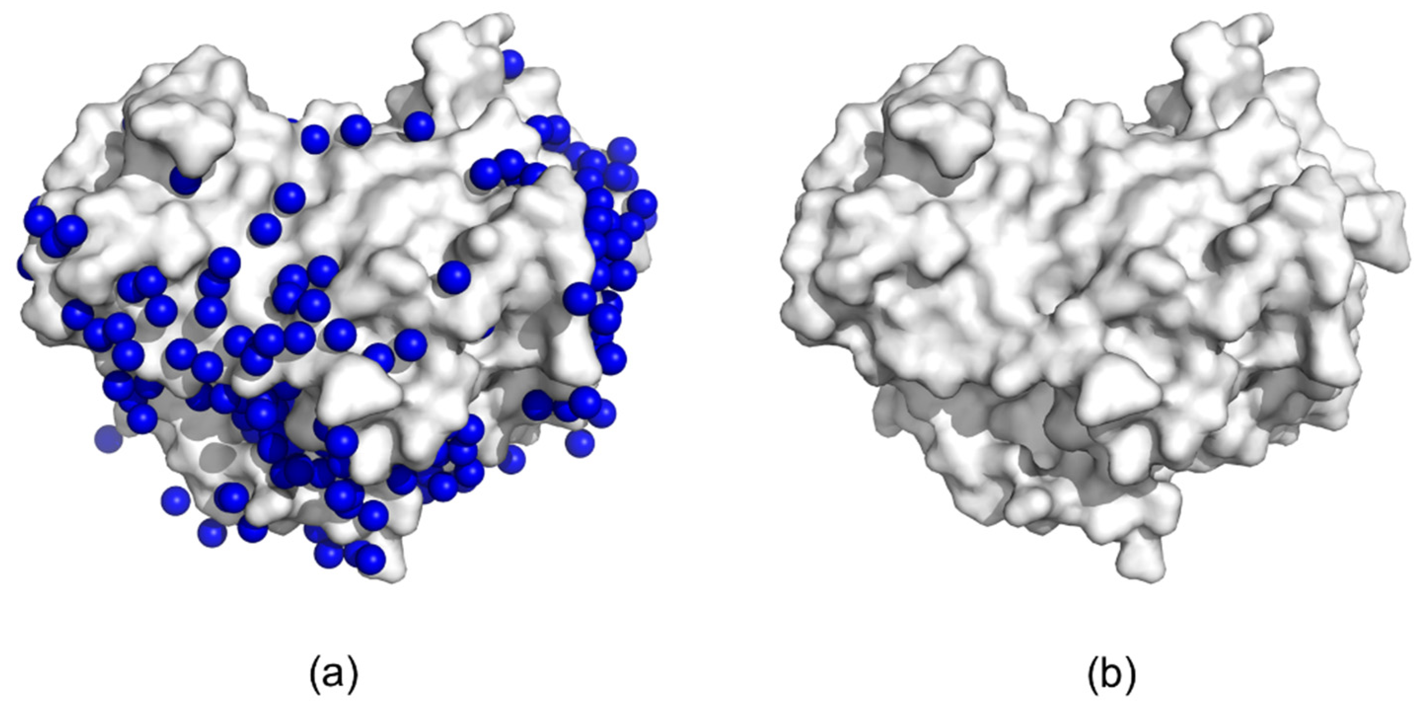 Protein Fluctuations in Response to Random External Forces