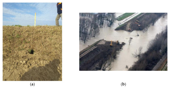 Repairing Damage Caused by Burrowing Animals in Embankments: A ...