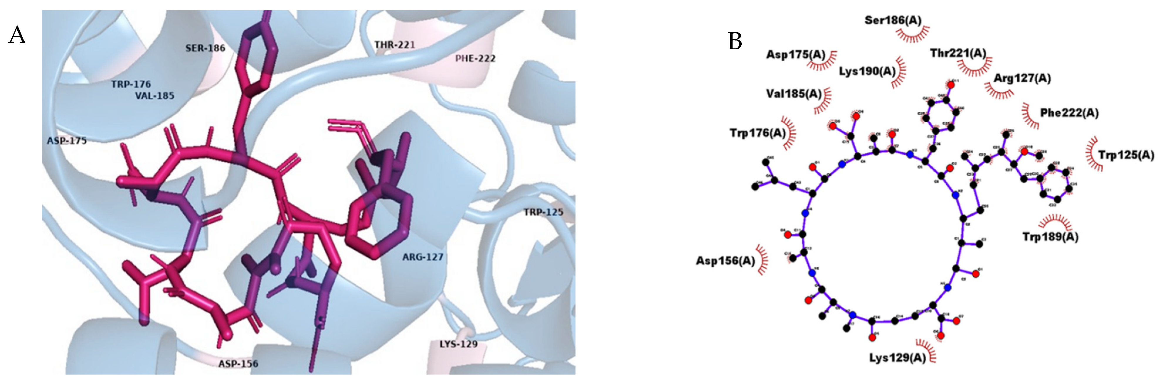 Identification of Novel Molecular Targets of Four Microcystin Variants ...