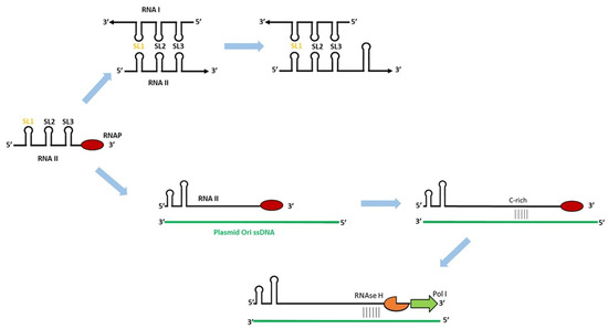 Applied Sciences | Free Full-Text | Synchrotron Radiation Circular ...