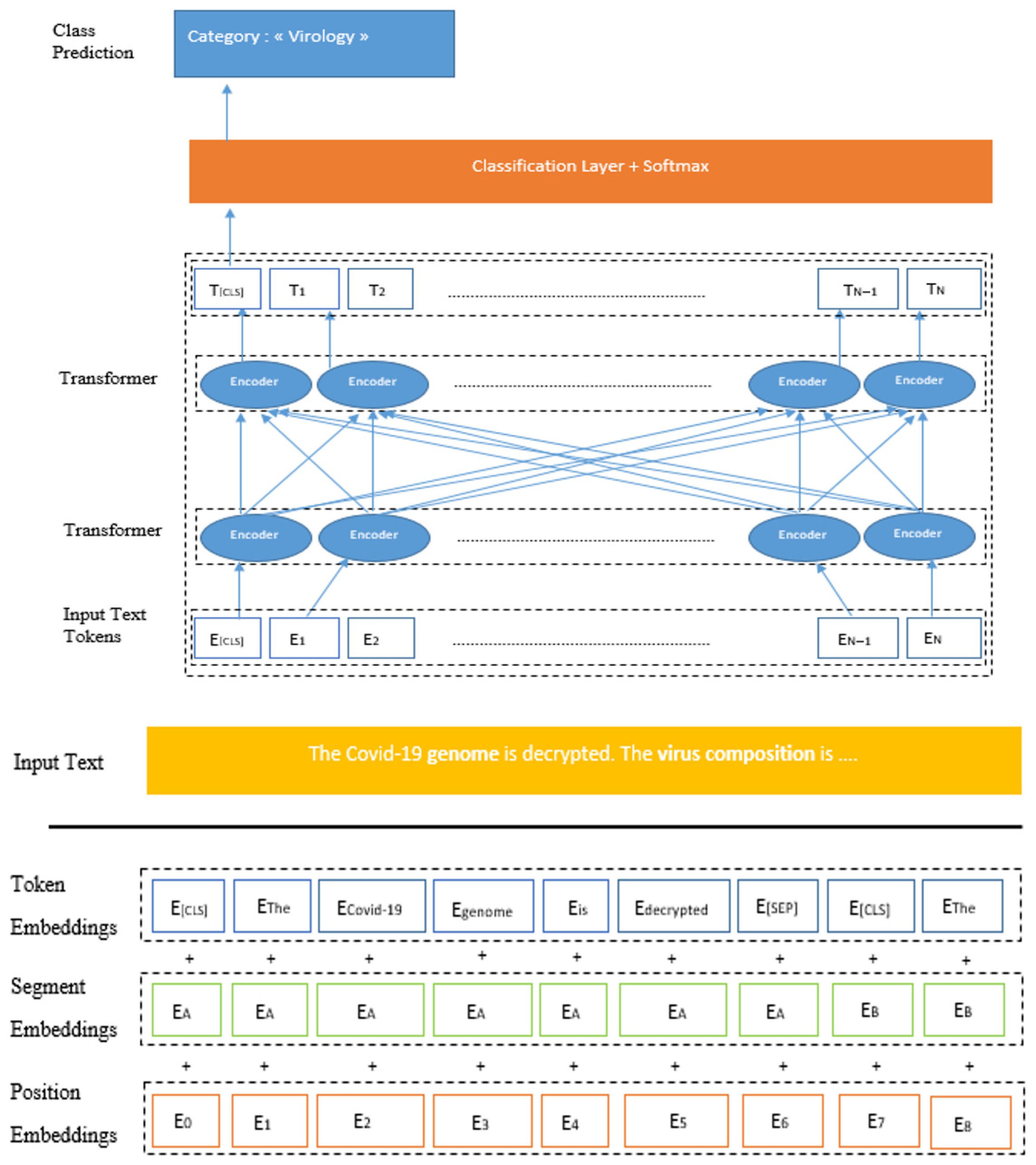 How To Fine Tune Bert On Text Classification Task - vrogue.co How To Fine Tune Bert On Text Classification Task - vrogue.co