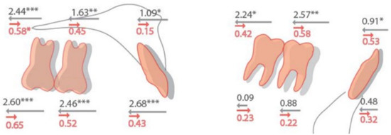 Stability of the Maxillary and Mandibular Total Arch Distalization ...