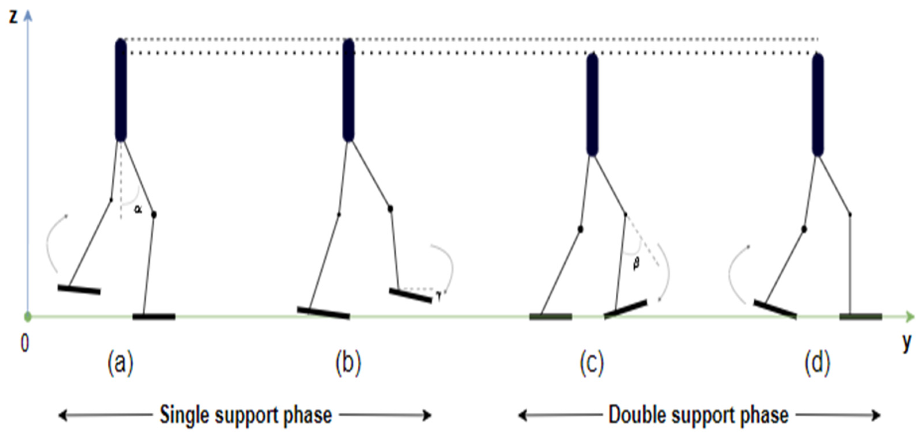 Applied Sciences | Free Full-Text | GCTD3: Modeling of Bipedal ...