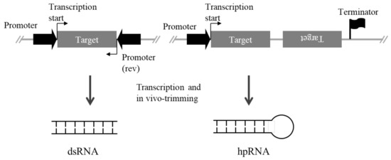 RNA Interference-Based Pesticides and Antiviral Agents: Microbial ...