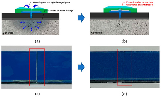 Analysis of Expansion Characteristics According to Deterioration ...