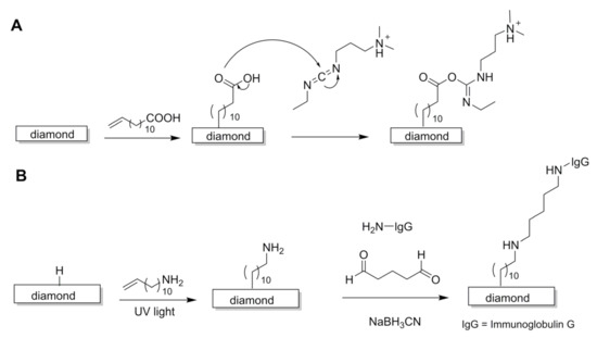 Diamonds for Life: Developments in Sensors for Biomolecules