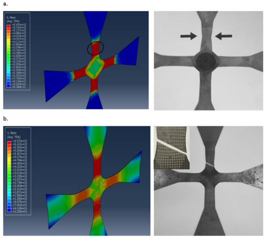 Steel Cruciform Sample with Nitrided Arms Achieves Higher Plastic ...