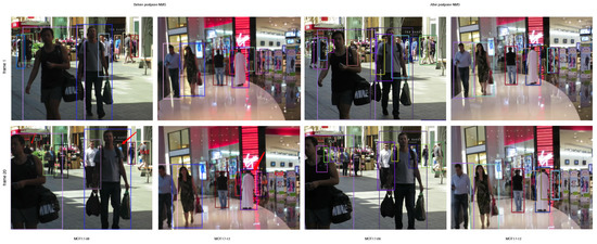 Non-Maximum Suppression Performs Later in Multi-Object Tracking