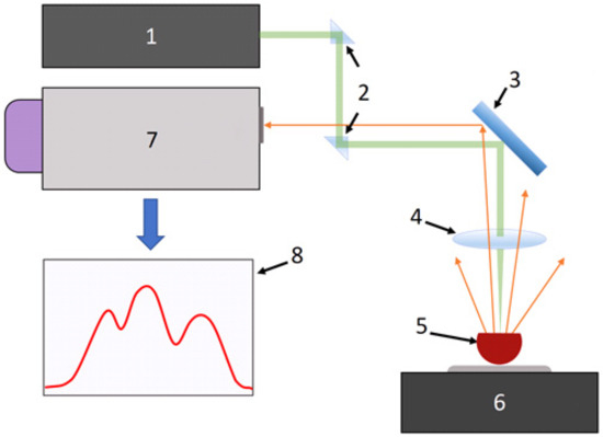 Using Fluorescence Spectroscopy to Detect Rot in Fruit and Vegetable Crops