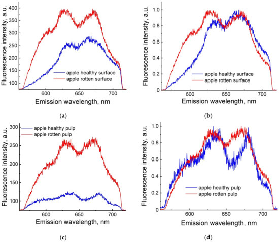 Using Fluorescence Spectroscopy to Detect Rot in Fruit and Vegetable Crops