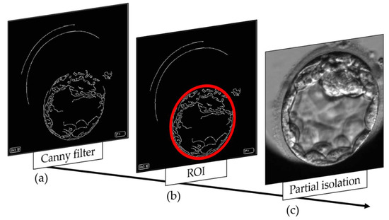 Applied Sciences Special Issue Computer Vision And Pattern Recognition Based On Deep Learning