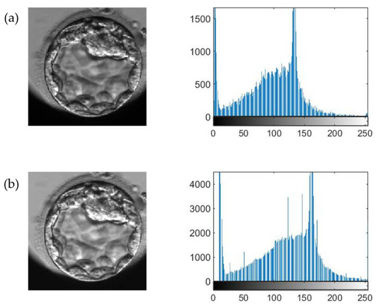Applied Sciences Special Issue Computer Vision And Pattern Recognition Based On Deep Learning