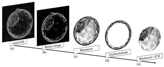 Applied Sciences Special Issue Computer Vision And Pattern Recognition Based On Deep Learning