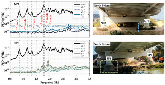 A Good Practice for the Proof Testing of Cable-Stayed Bridges