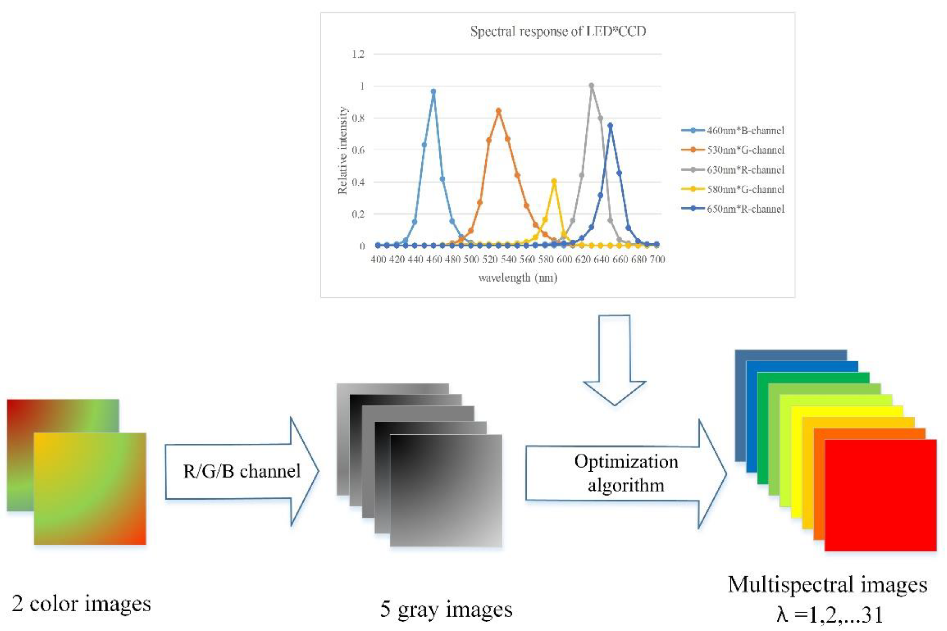 Applied Sciences | Free Full-Text | An Efficient and Portable LED Multispectral Imaging System ...