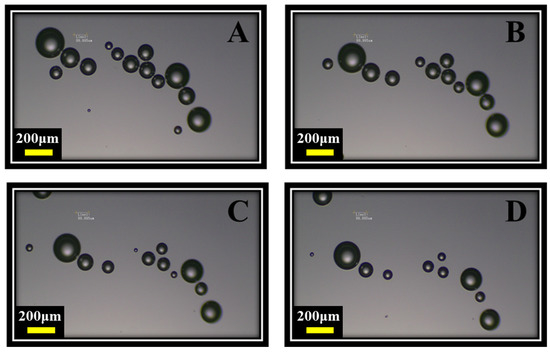 Applied Sciences | Free Full-Text | Preparation of Nanoparticle-Loaded ...