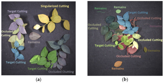 Applied Sciences | Free Full-Text | Deep Learning-Based Occlusion ...