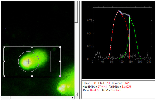Comparison of the Biological Properties of Plasma-Treated Solution and ...