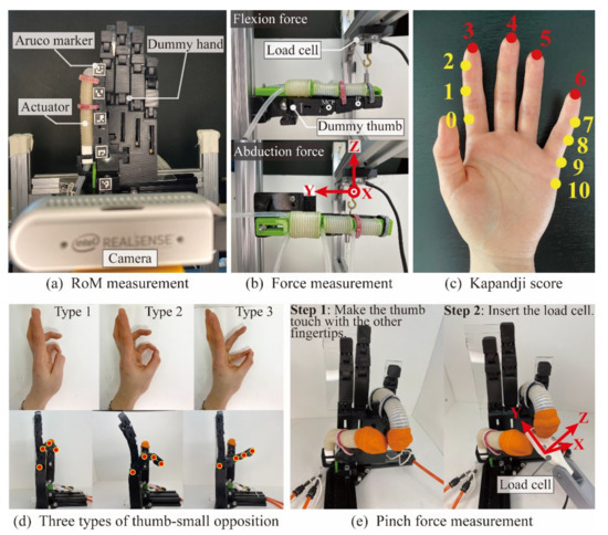 Towards an Extensive Thumb Assist: A Comparison between Whole-Finger ...