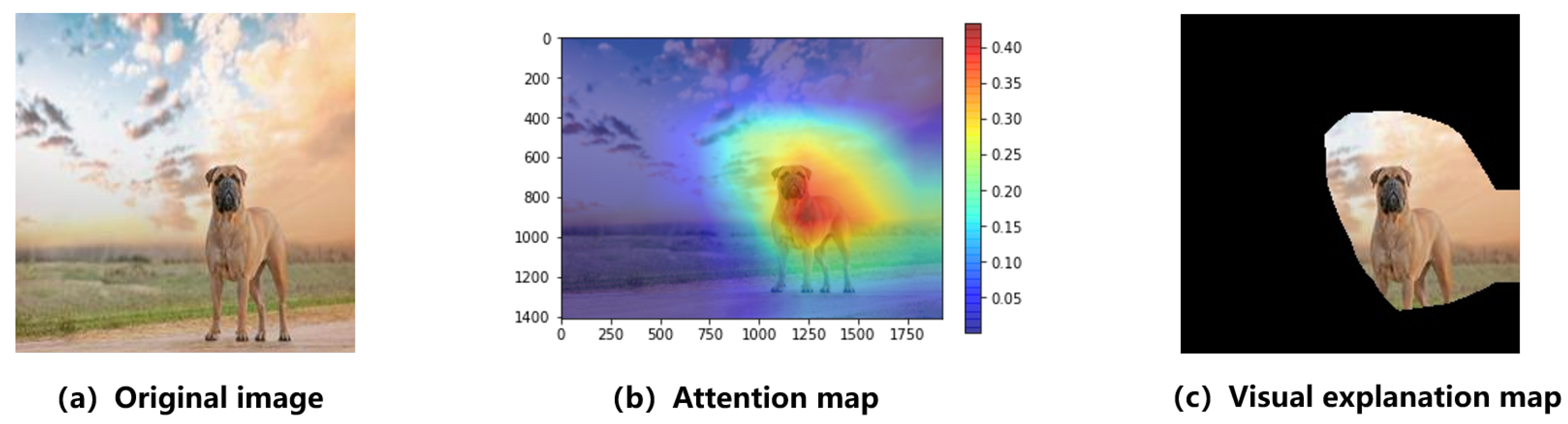 Applied Sciences | Free Full-Text | Attention Map-Guided Visual Explanations for Deep Neural ...