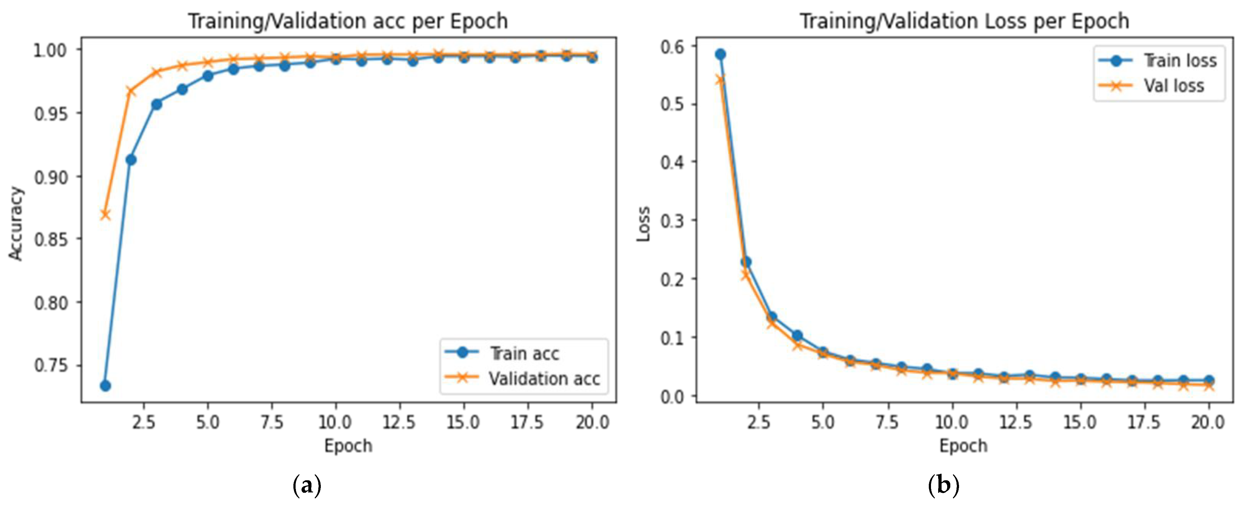 Real-Time Face Mask Detection to Ensure COVID-19 Precautionary Measures ...