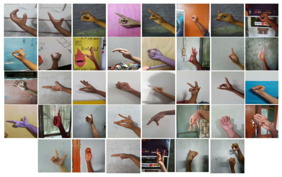 BenSignNet: Bengali Sign Language Alphabet Recognition Using ...