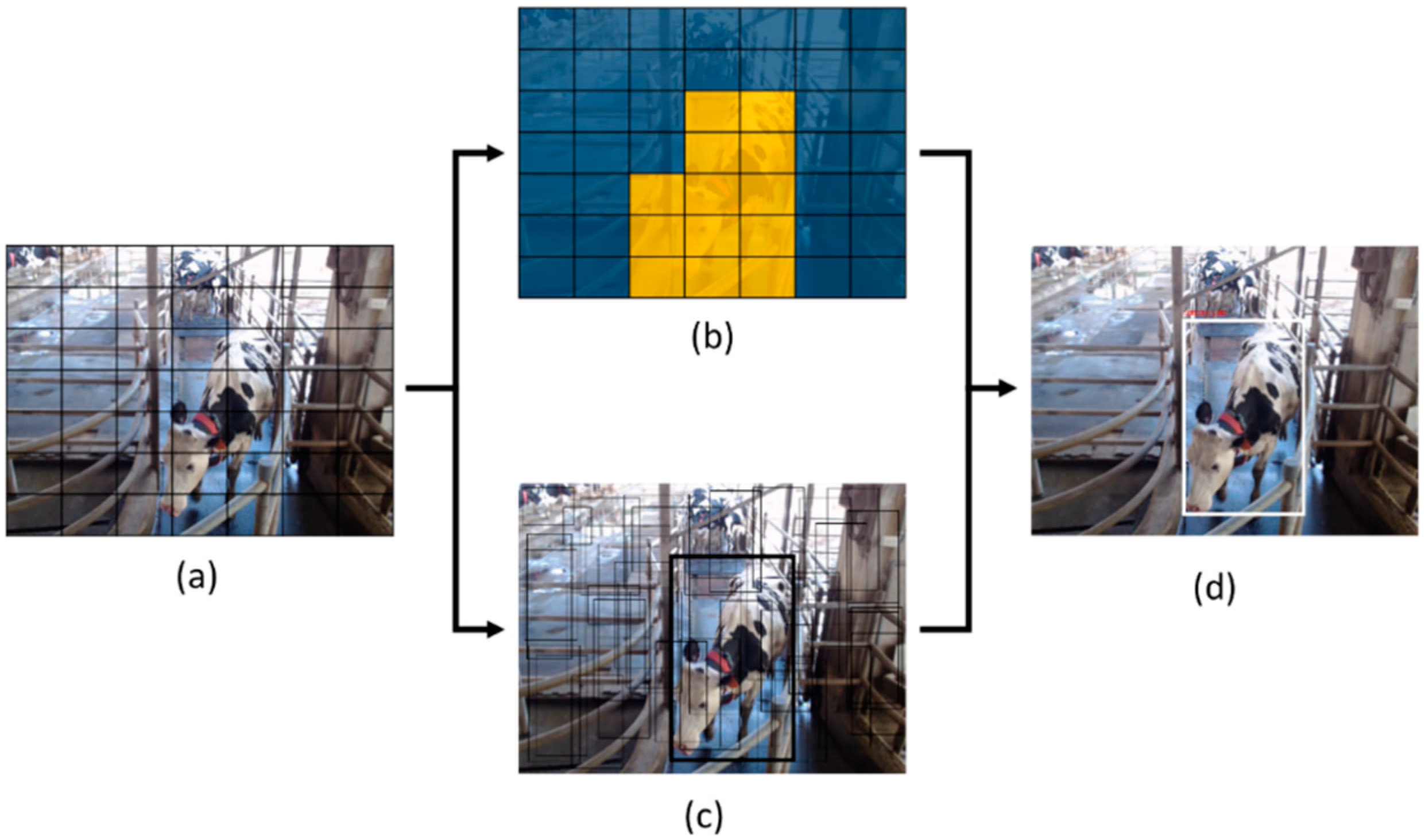 Applied Sciences | Free Full-Text | Development of an Automated Body ...