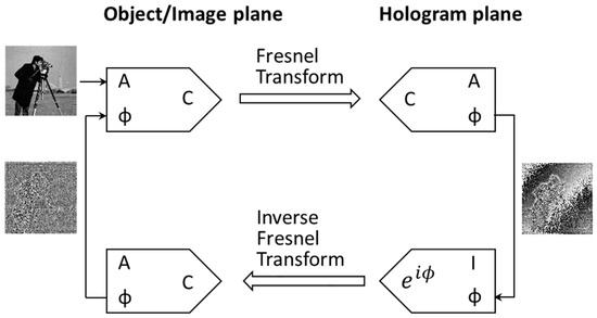 Expansion of Image Space in Enhanced-NA Fresnel Holographic Display
