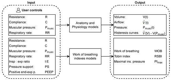 Web Applications for Teaching the Respiratory System: Content Validation