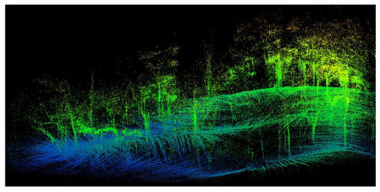 A Forest Point Cloud Real-Time Reconstruction Method with Single-Line ...