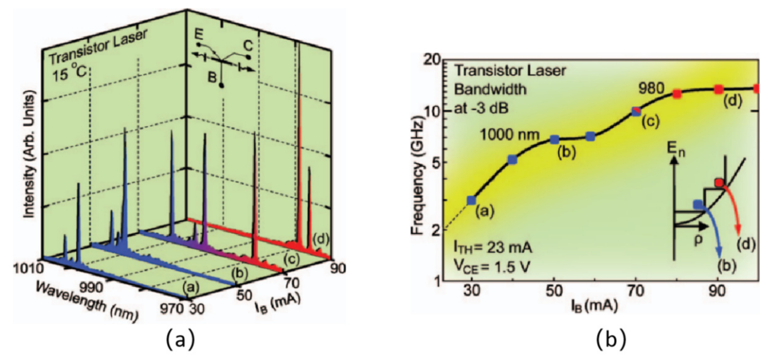 Modulation Characteristics of High-Speed Transistor Lasers