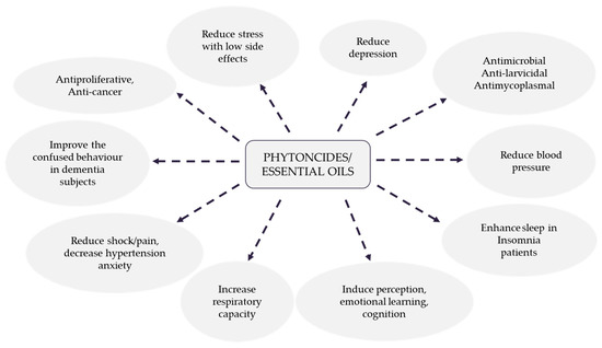 Applied Sciences | Free Full-Text | Essential Oils, Phytoncides ...