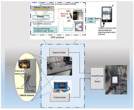 A Review of Apta-POF-Sensors: The Successful Coupling between Aptamers ...