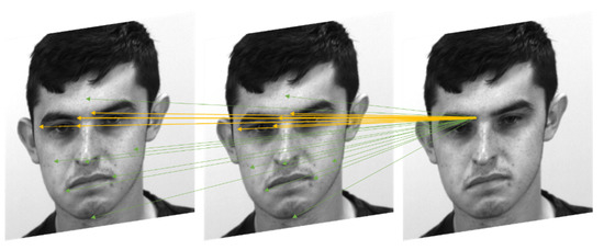 Facial Micro-Expression Recognition Based on Deep Local-Holistic Network